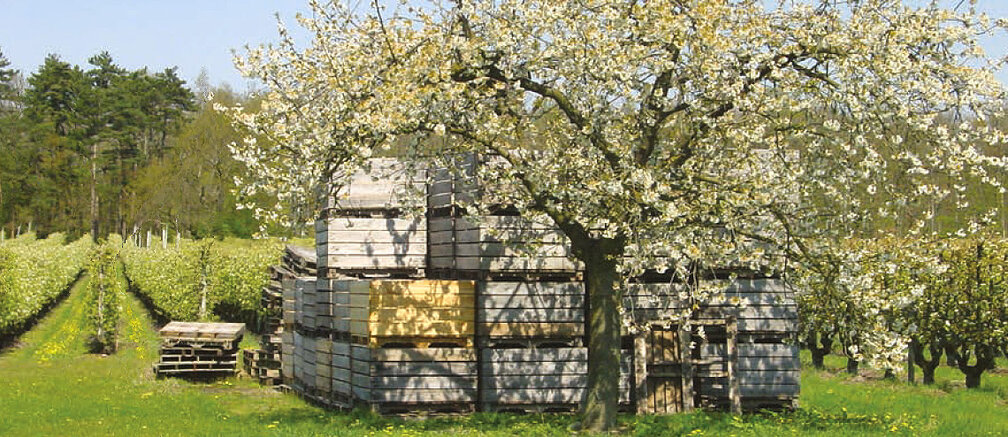 Agriculture: Métropole d'Orléans